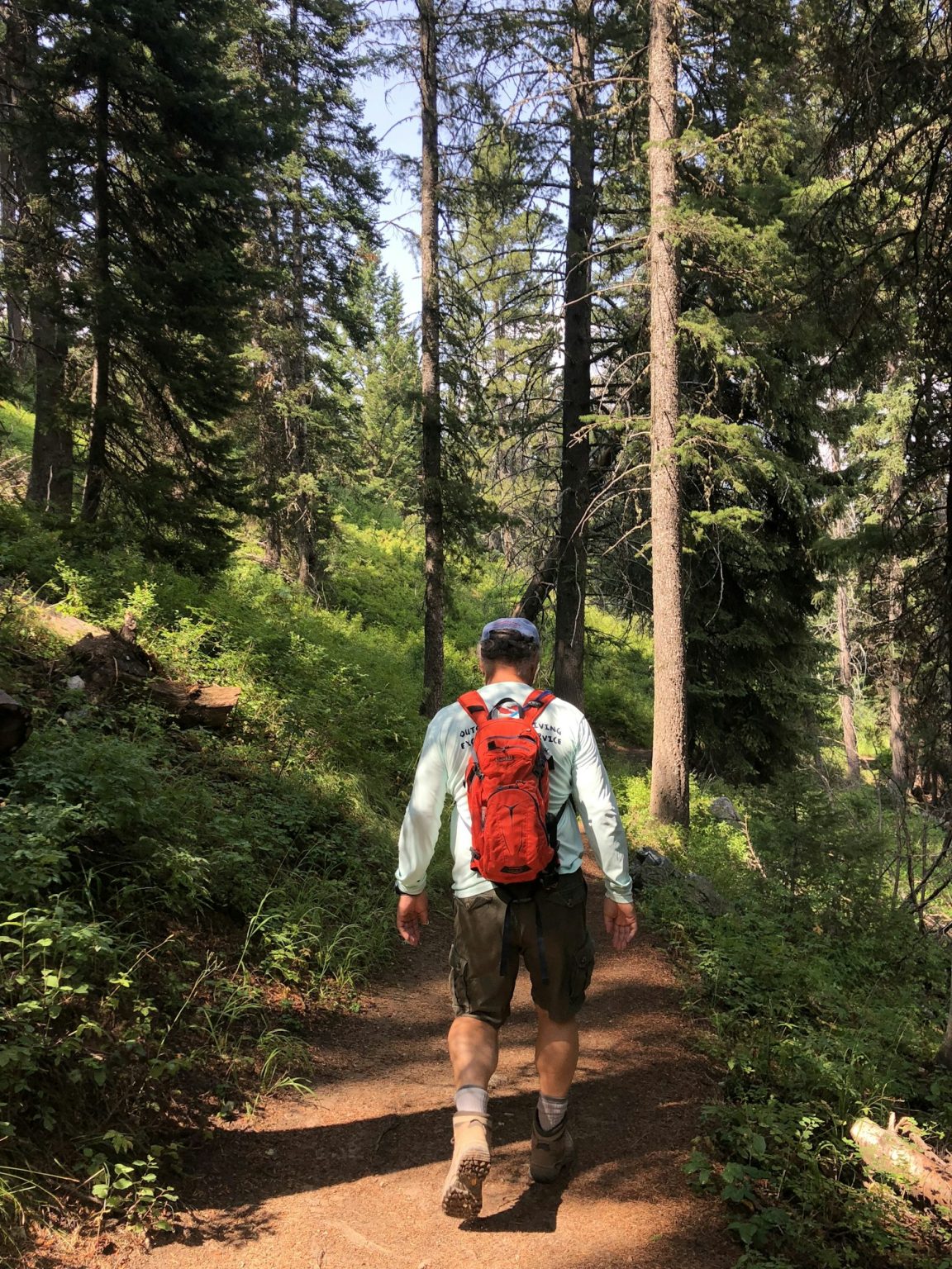 Camping à Rawdon : des idées de sentiers de randonnée